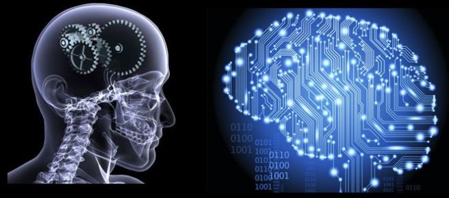 Emerging Metaphors for the Human Body | :: Culture Decanted