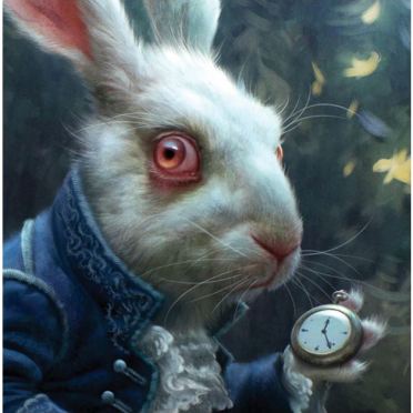 Have we become the White Rabbit? The experience of Time in the ...